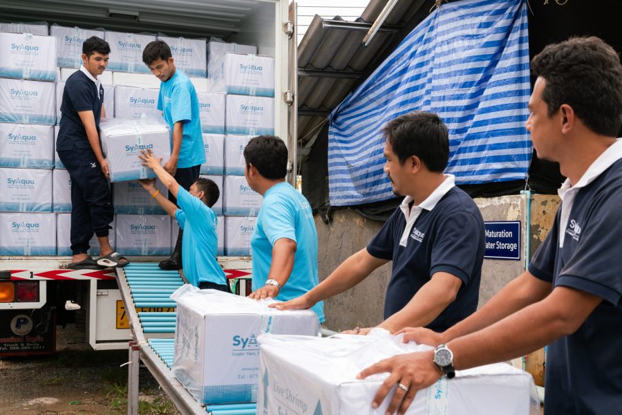 Premier Shrimp Larvae Supplier Services